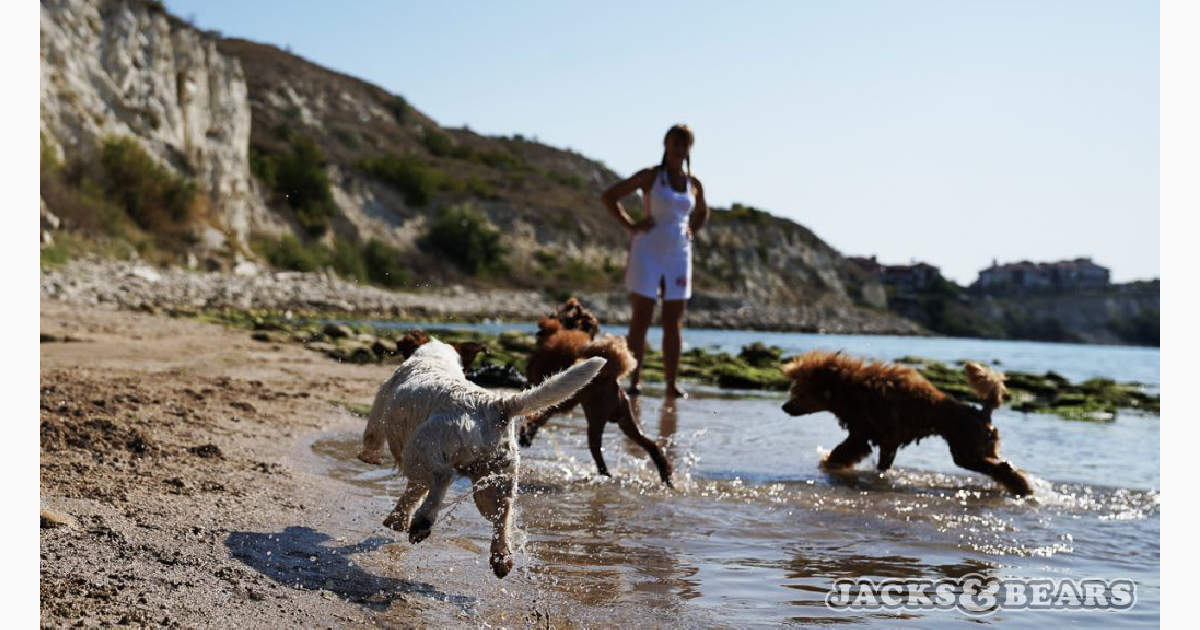 Kibella beach - Jacks & Bears